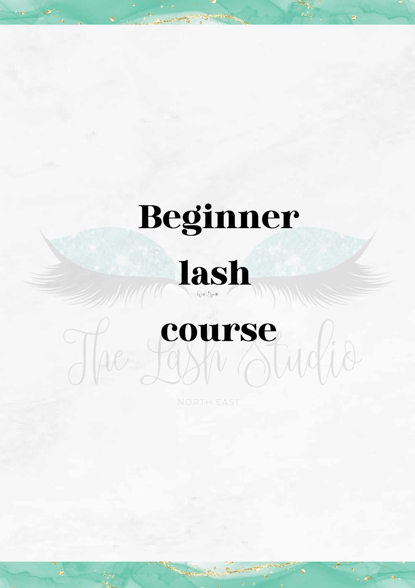 Beginner Lash Course – The Lash Studio NE